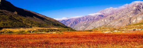 A Detailed Guide to Langtang Valley Trek